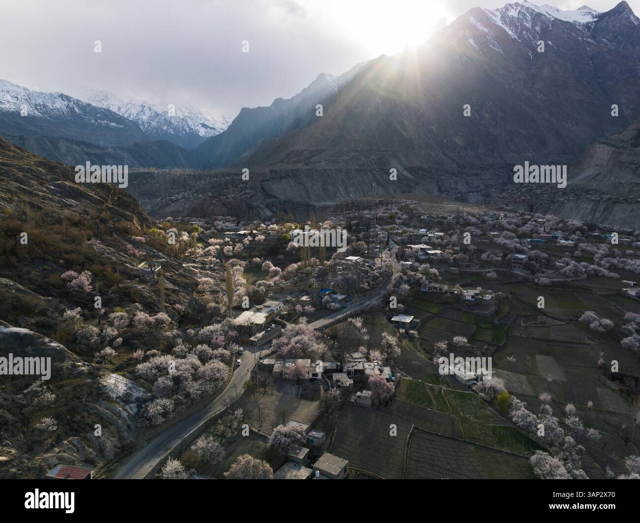 Aerial view of spring blossom starting in Nagar, Gilgit Baltistan ...