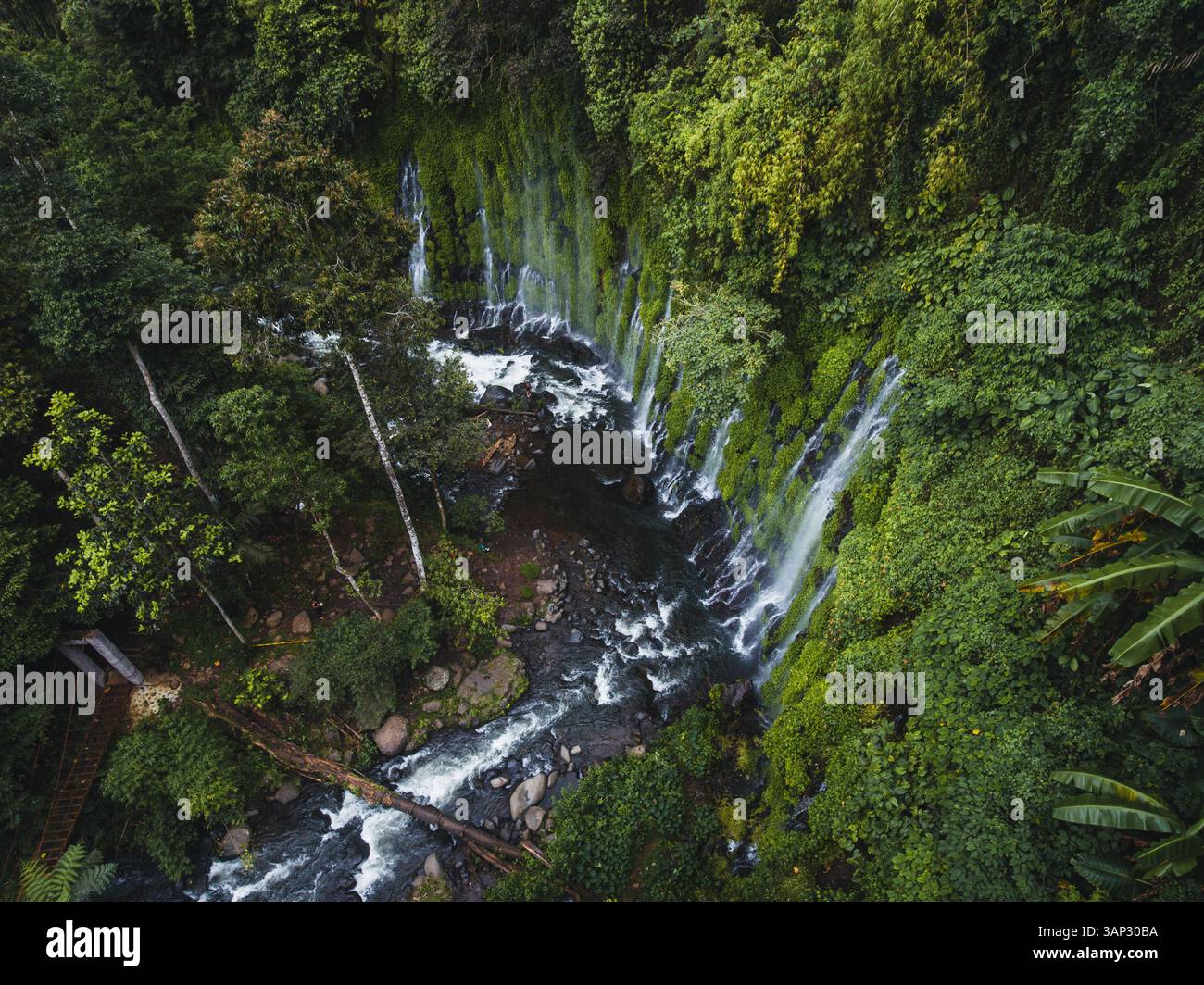 Aerial view of waterfalls surrounded by trees in Alamada, Cotabato ...
