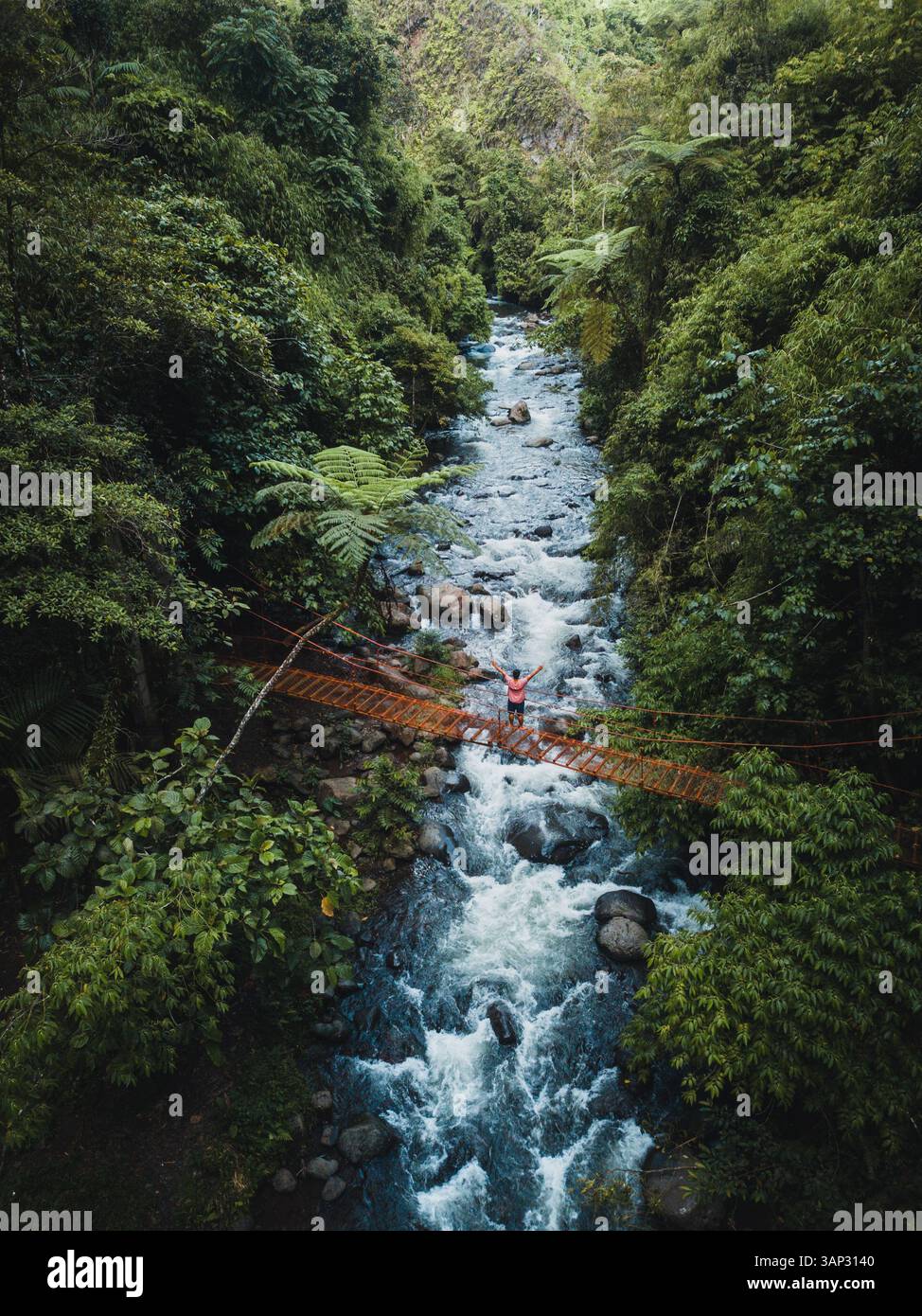 Aerial view of a suspension bridge in a river in Alamada, Cotabato ...