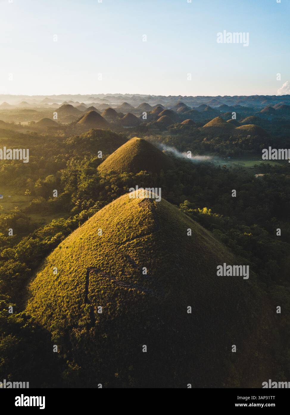 Aerial view of Chocolate Hills surrounded by trees in Carmen, Bohol ...