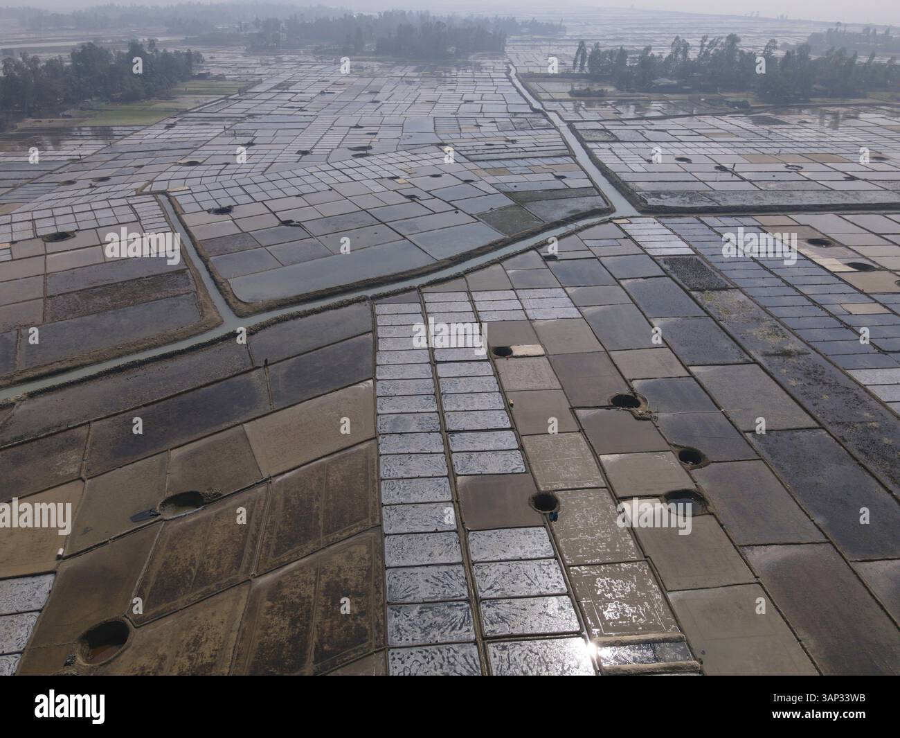 Aerial view of vast paddy fields and wetlands with geometric patterns ...