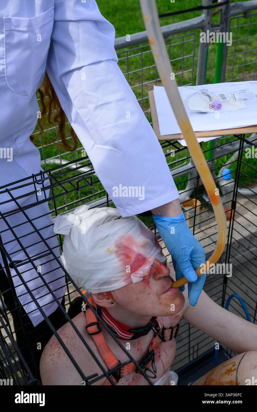Animal testing protest vivisection hi-res stock photography and images ...