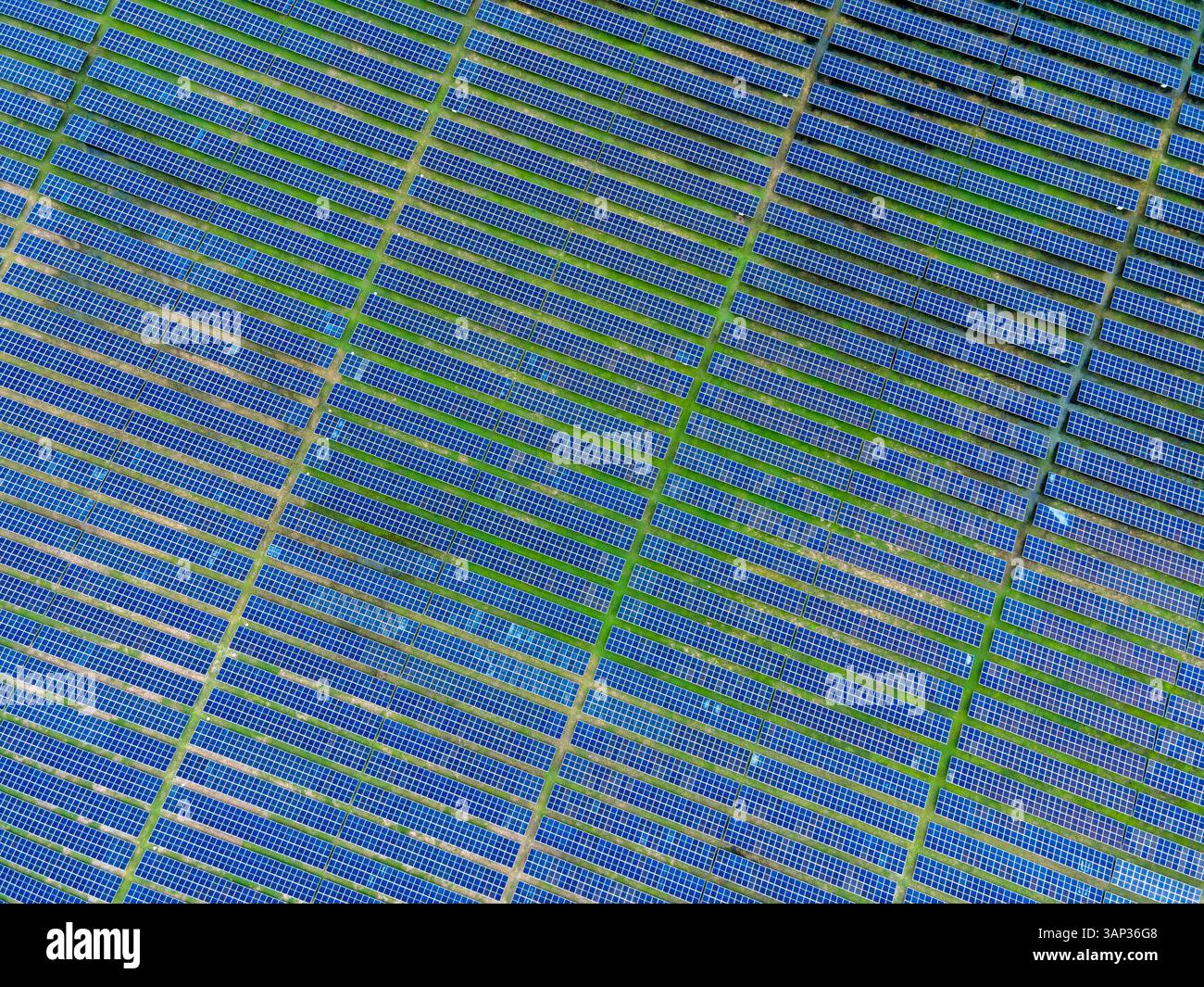 Aerial view of the largest solar farm with solar panels and the Teesta ...