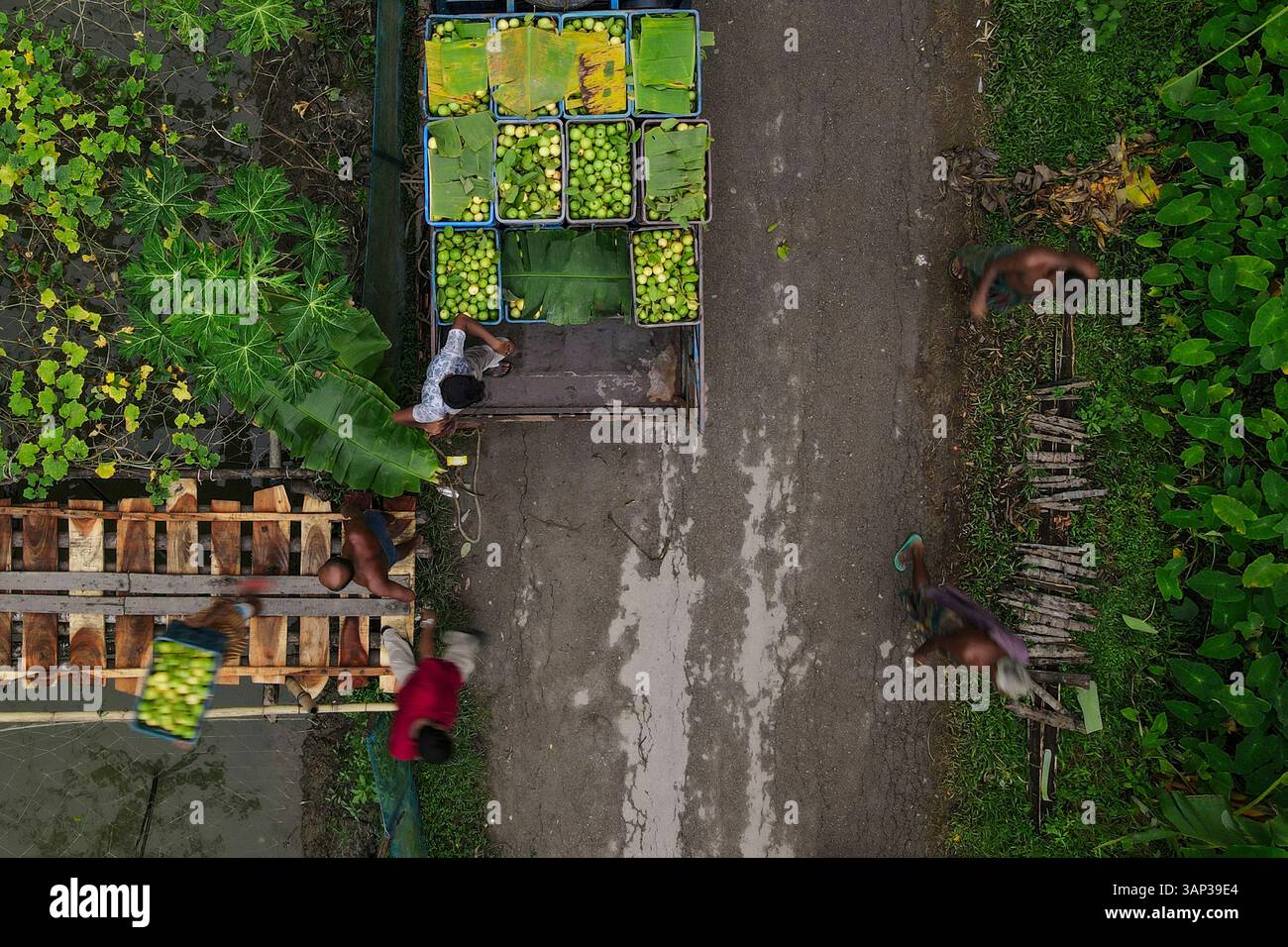Aerial view of floating guava market with boats and lush greenery ...