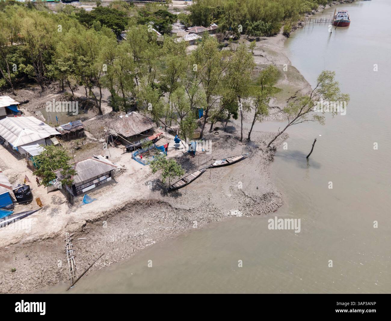 Aerial view of serene coastal area with mangrove forest and traditional ...