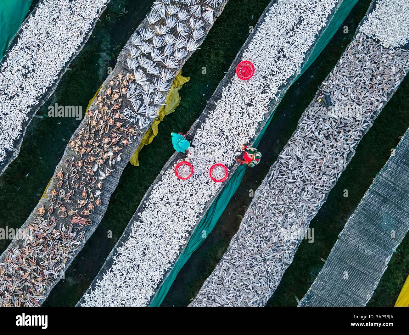 Aerial view of traditional fish processing with drying fish and baskets ...