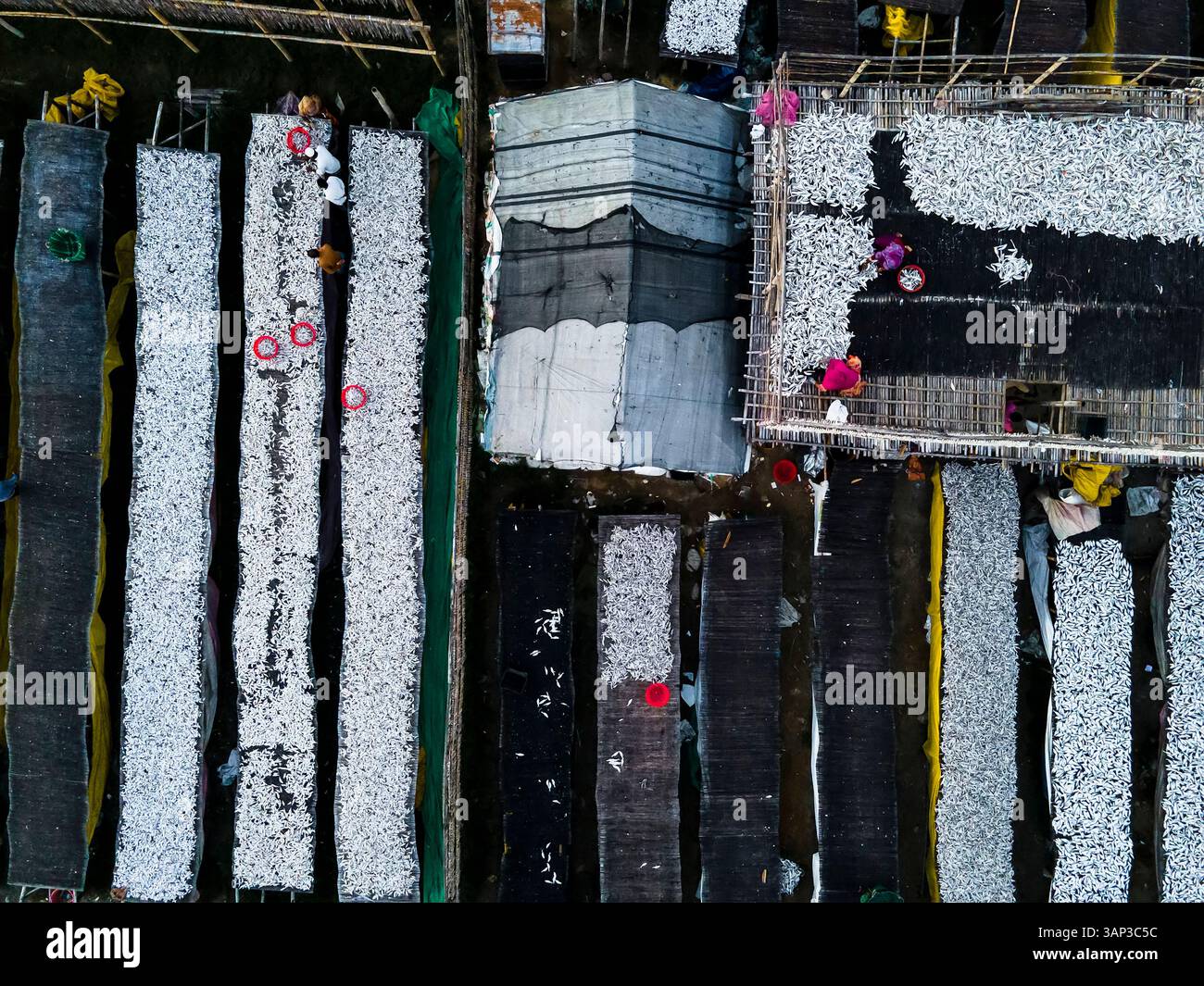 Aerial view of traditional fish processing with busy workers and drying ...