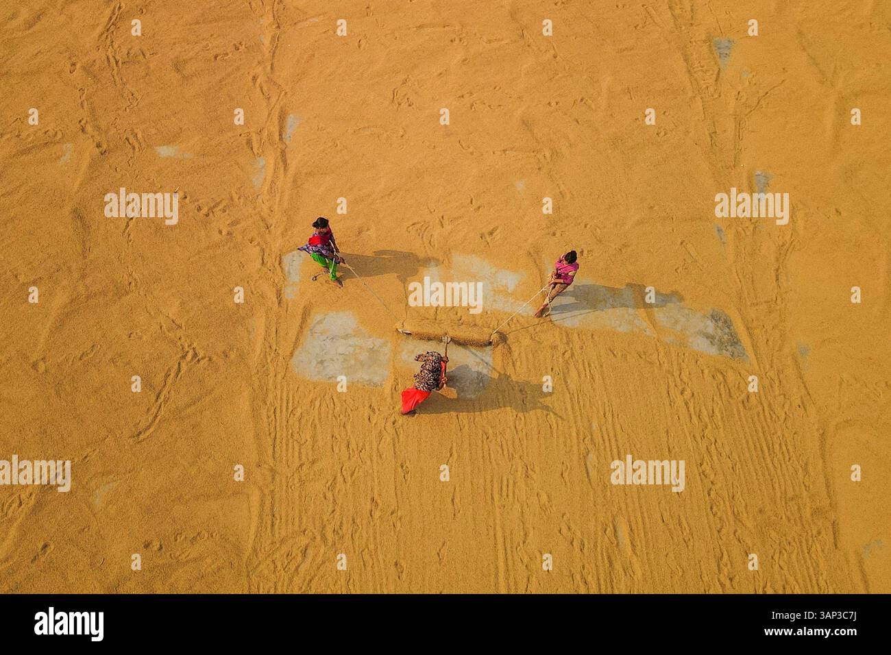Aerial view of sun dried paddy fields and rice mill with workers ...