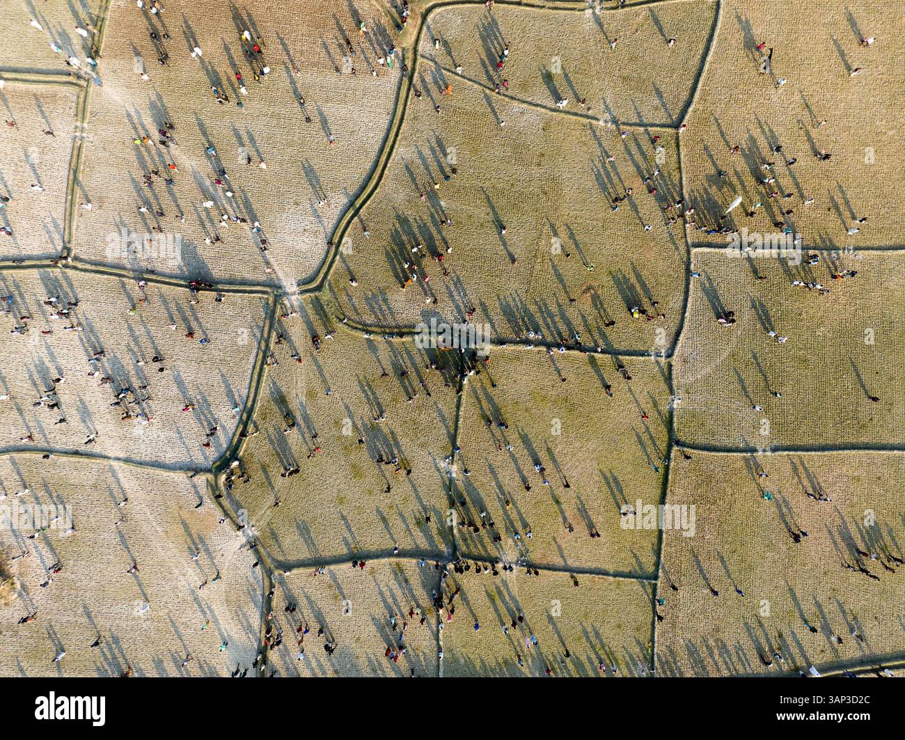 Aerial view of beautiful patchwork fields and shadows in a rural ...