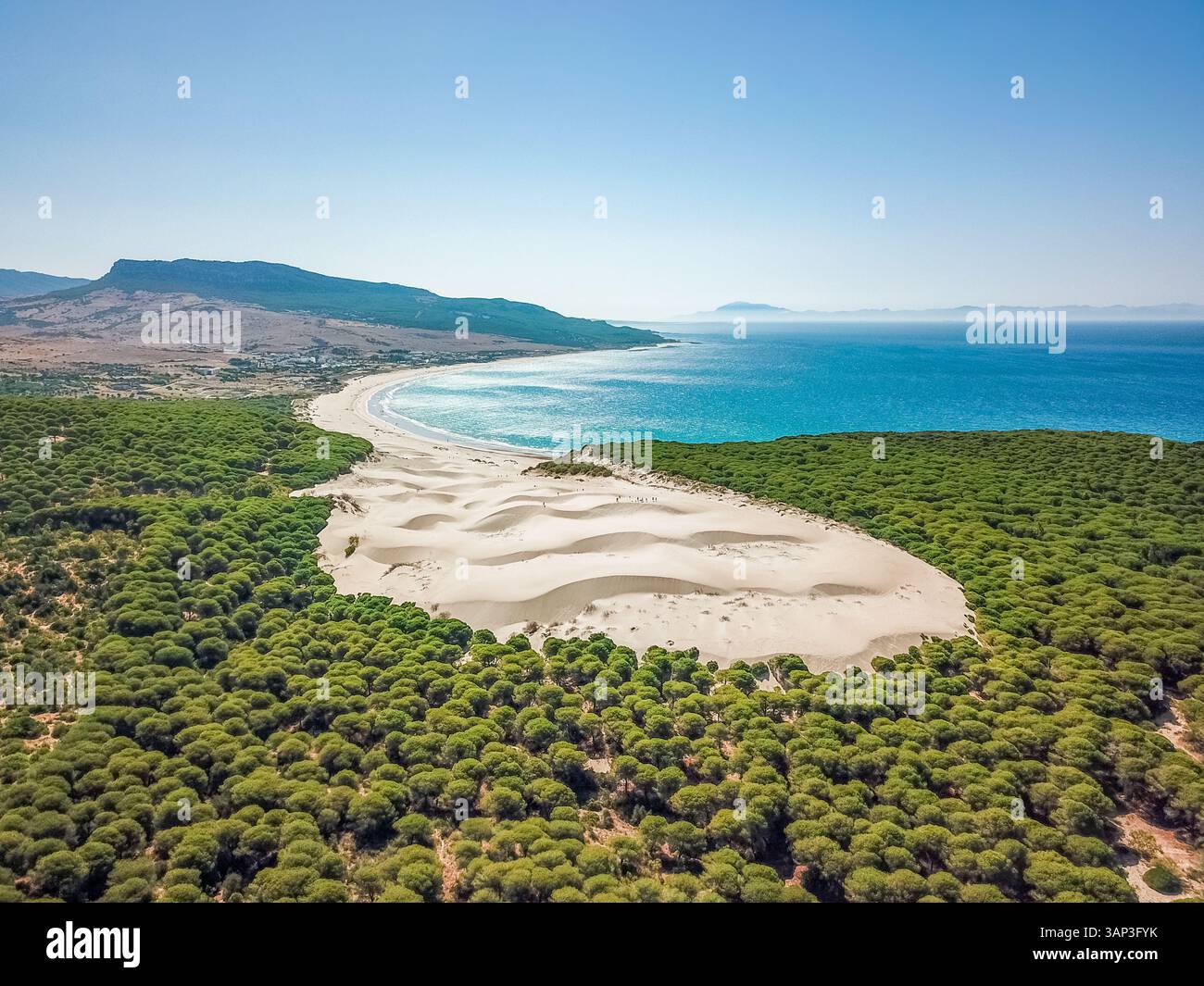 Aerial view of the sand dunes and the trees of Bolonia beach on ...