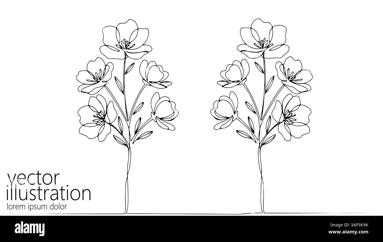 Floral line art illustration features two flower arrangement Bouquet ...