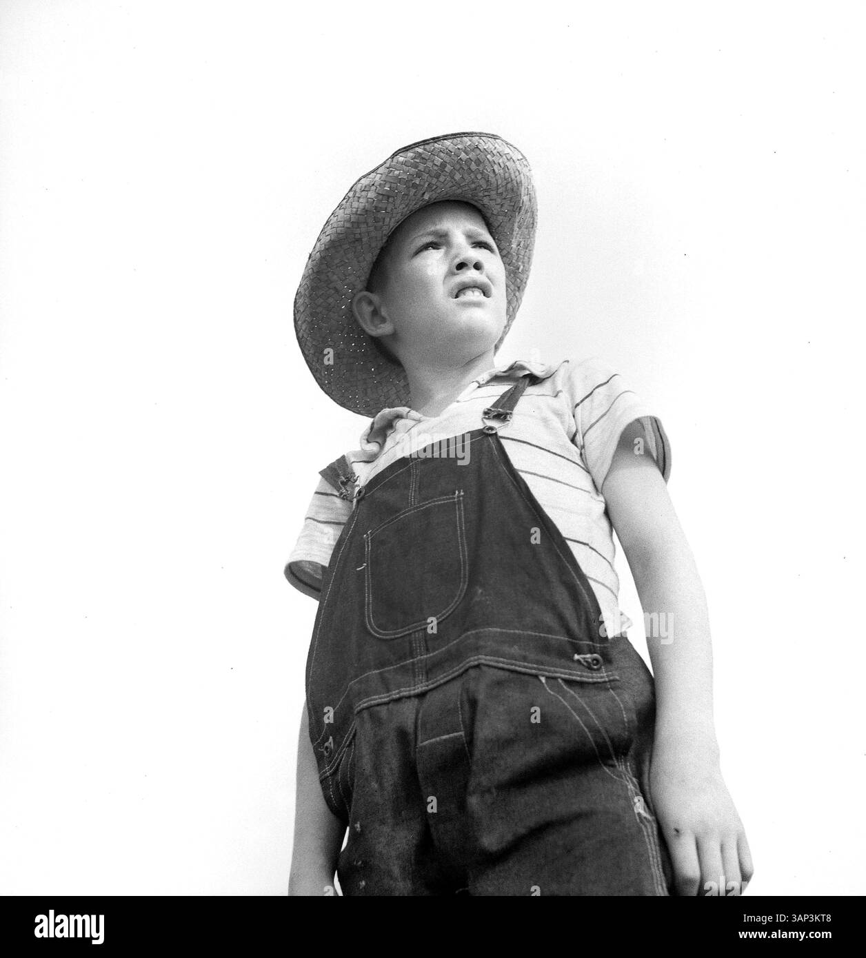 Low angle view farmers Black and White Stock Photos & Images - Alamy