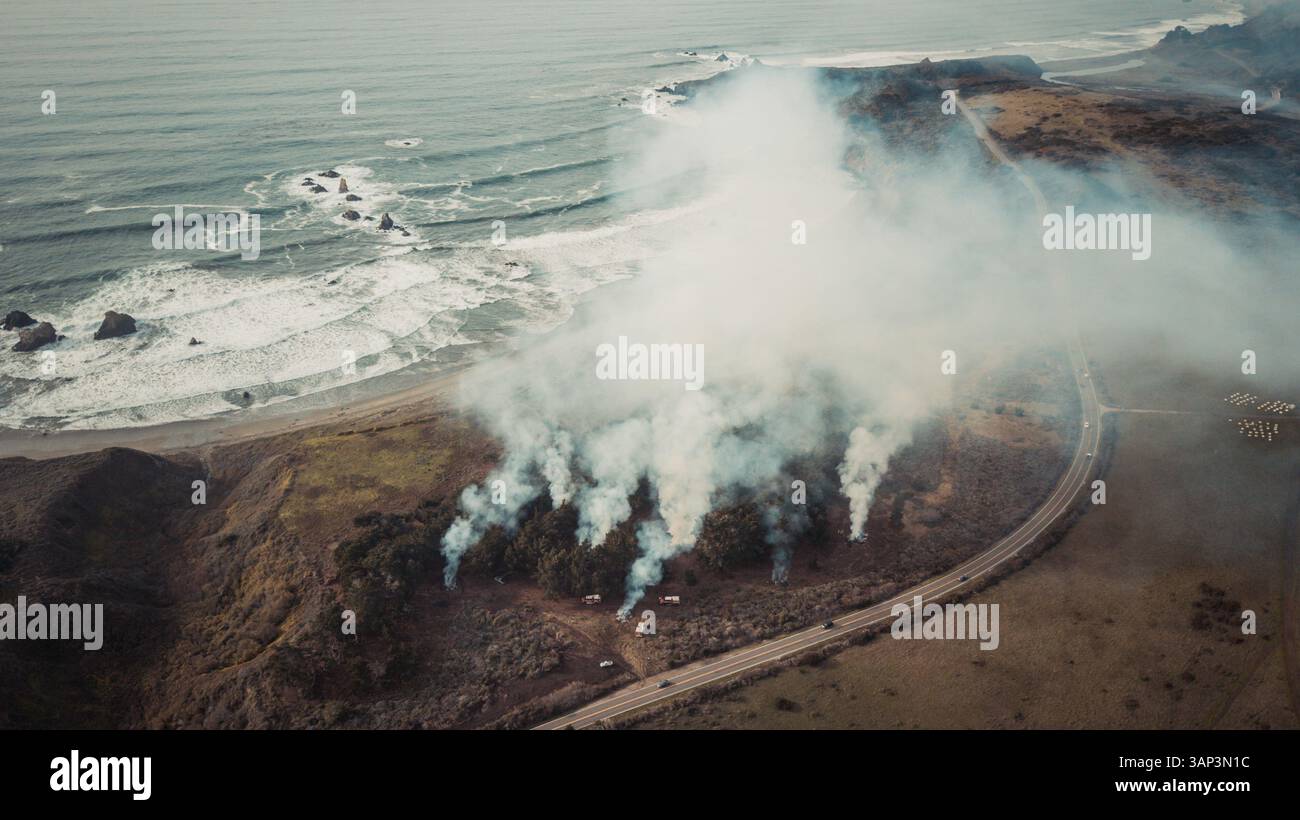 Aerial view of beachside coastal forest fire being fought by ...