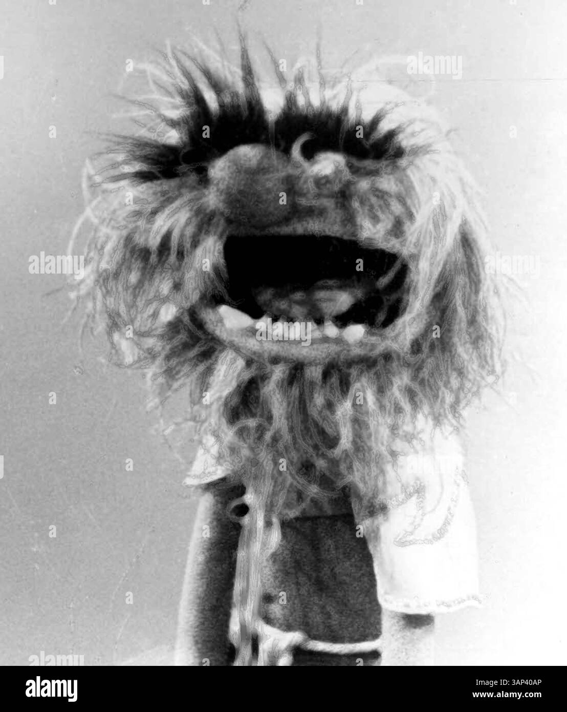 Dr teeth and the electric mayhem hi-res stock photography and images ...