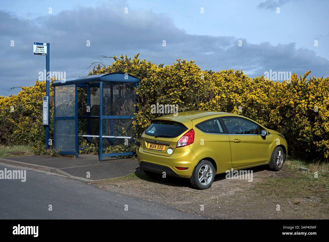 Bus Stop, yellow car and gorse in bloom at Lochranza on the Isle of ...