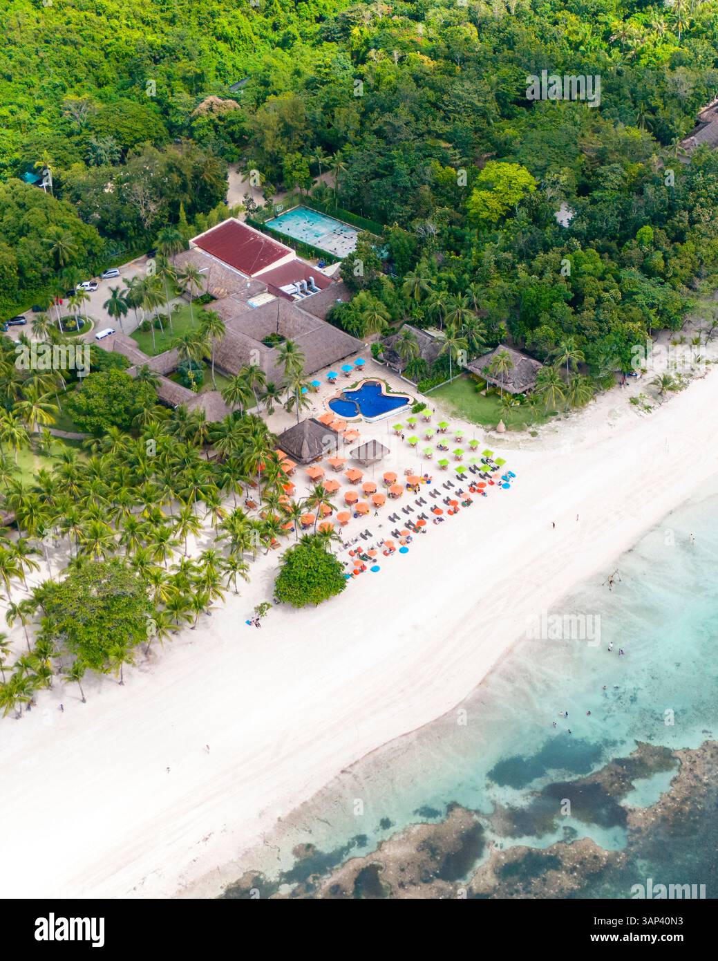 Aerial drone view of resort on Panglao beach with palm trees and ...