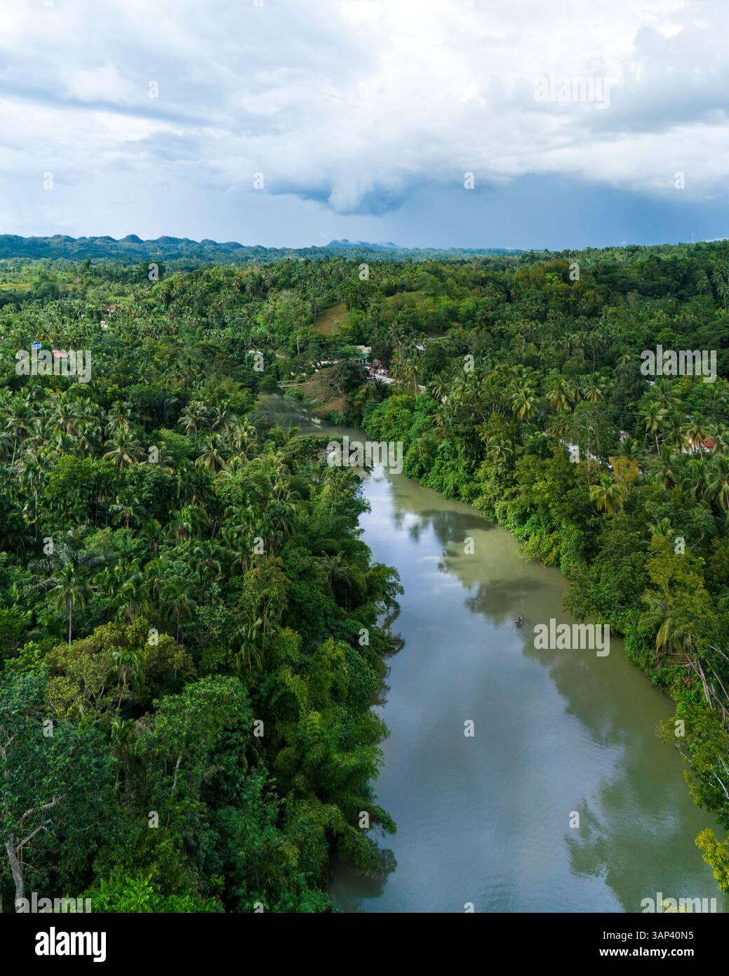 Aerial drone view of Loboc River with palm trees on the island of Bohol ...