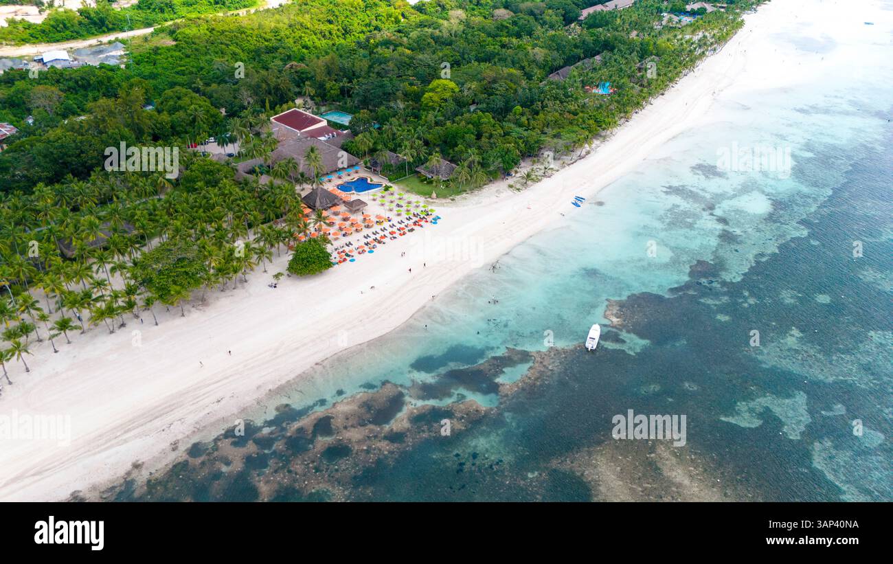 Aerial drone view of resort on Panglao beach with palm trees and ...