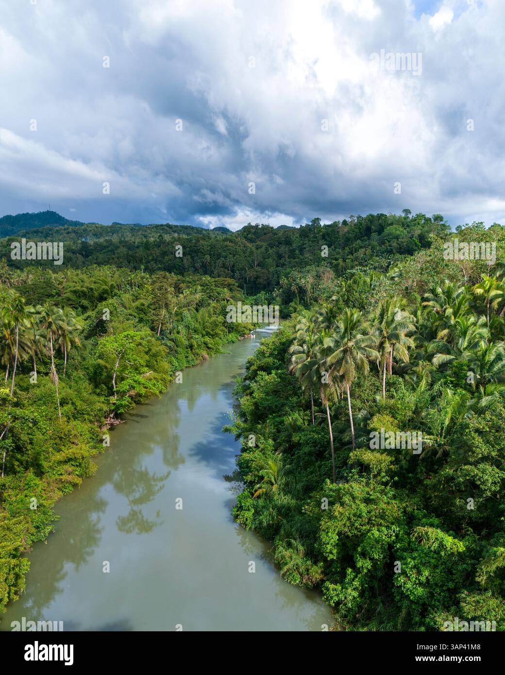 Aerial drone view of Loboc River with palm trees on the island of Bohol ...