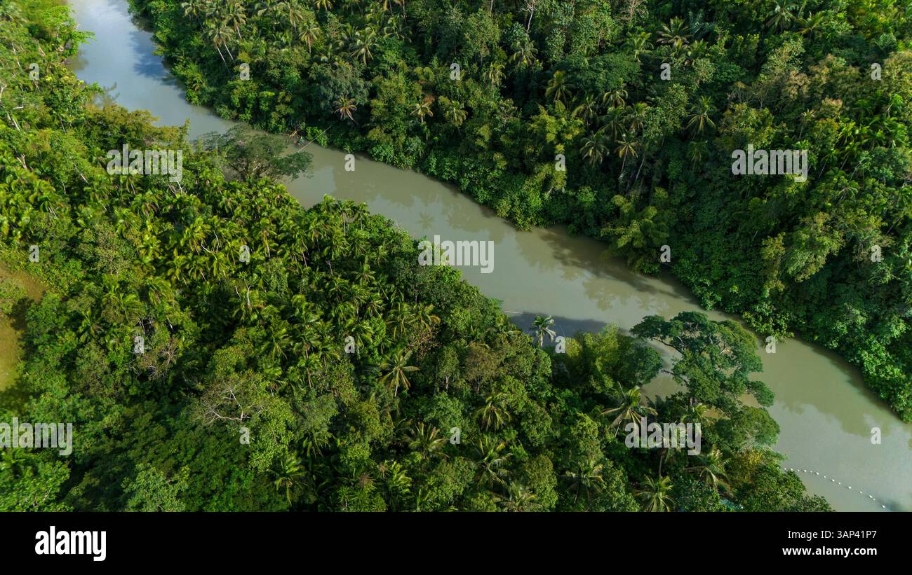 Aerial drone view of Loboc River with palm trees on the island of Bohol ...