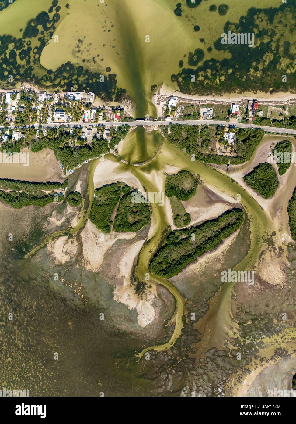 Aerial view of a beautiful mangrove ecosystem in Chabihau, Yucatan ...