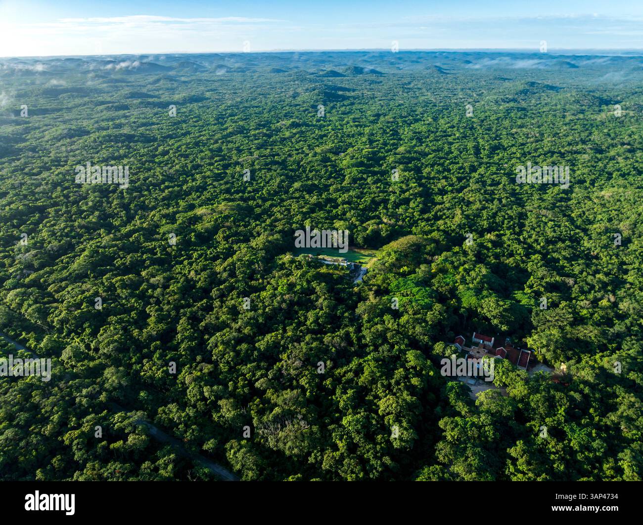 Aerial view of the lush archeological site of Sayil surrounded by dense ...