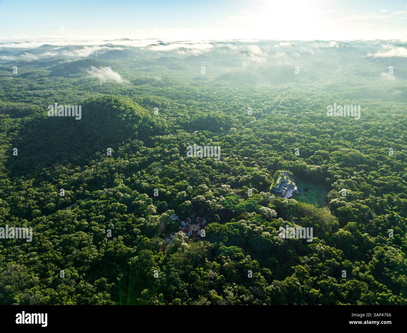 Aerial view of the lush archeological site of Sayil surrounded by ...