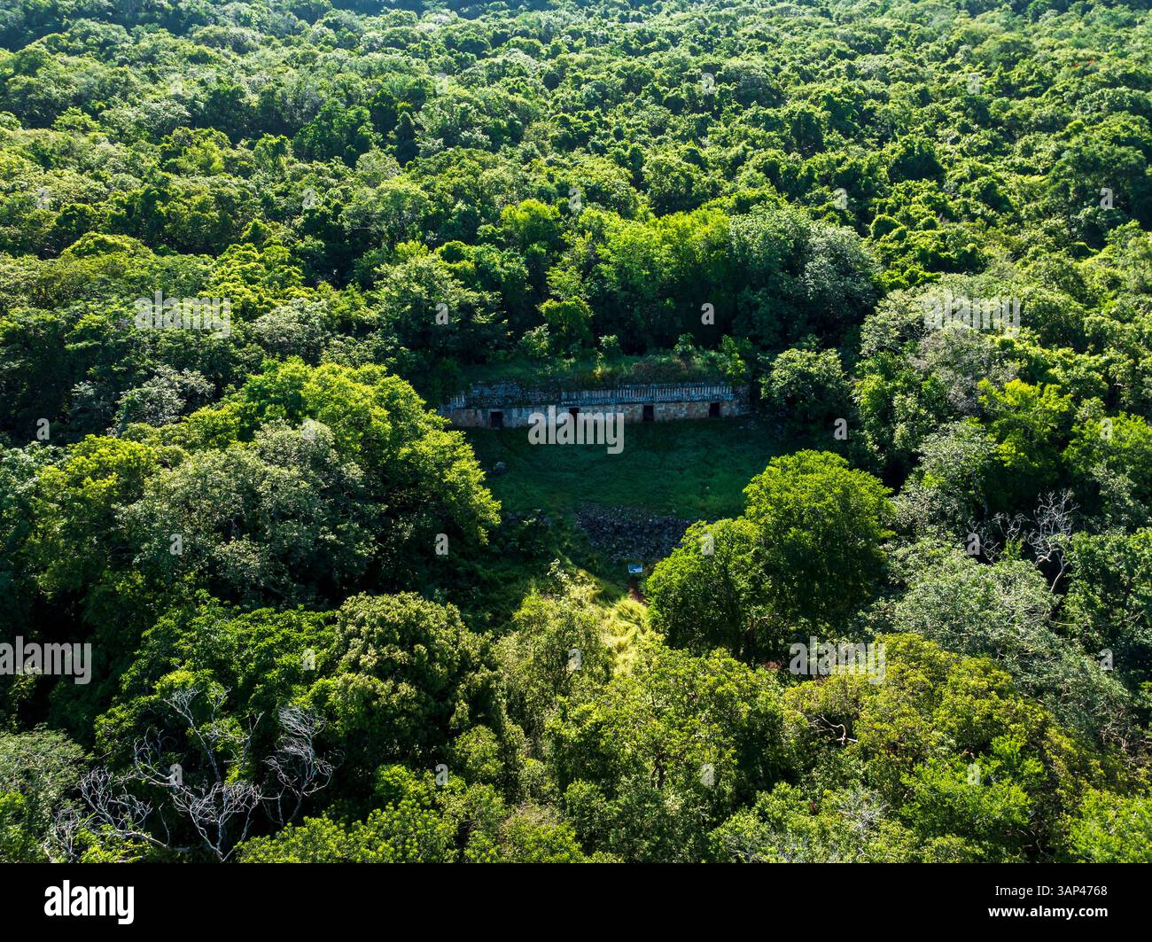 Aerial view of lush jungle with ancient Mayan ruins, Oxkutzcab, Yucatan ...