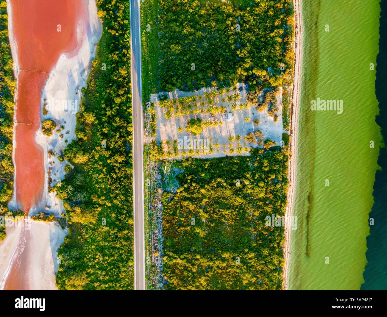 Aerial view of a road following the coastline crossing the wetland ...