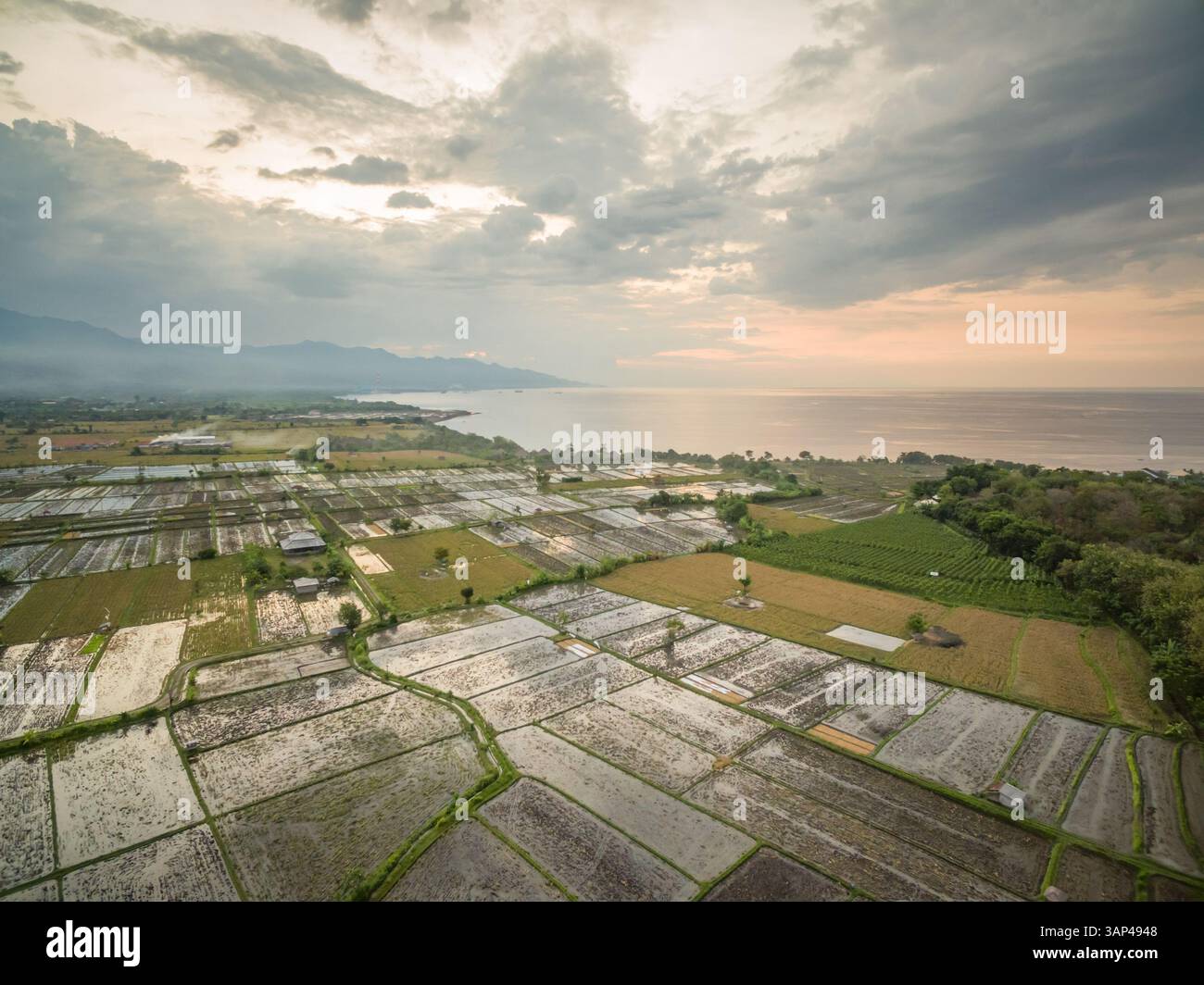 Aerial view of agricultural rice fields in Bali at sunset Stock Photo ...