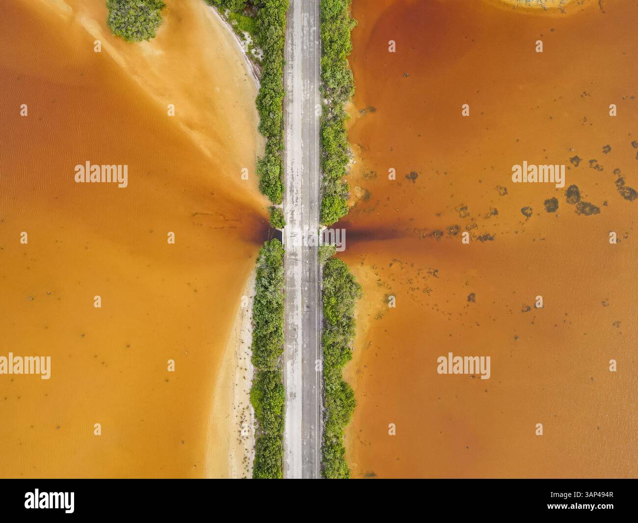Aerial view of a road crossing the Laguna Rosada, a wetland in Dzemul ...