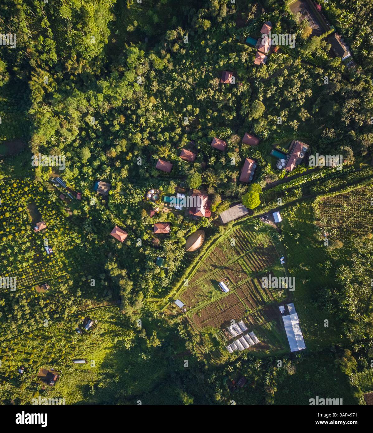 Aerial view of green, hilly hamlet of Banjar and fields, Bali Stock Photo - Alamy