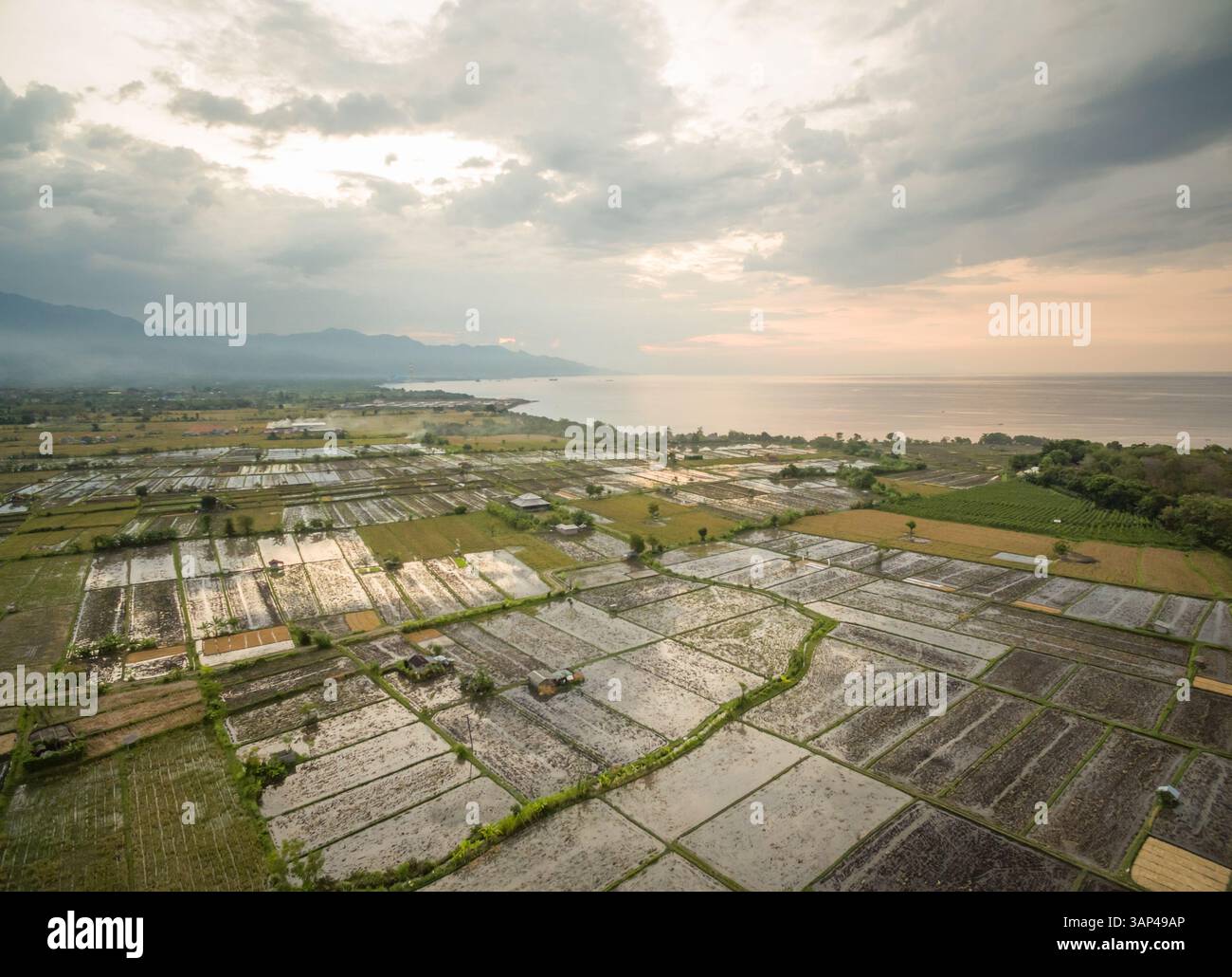 Aerial view of agricultural rice fields in Bali at sunset Stock Photo ...