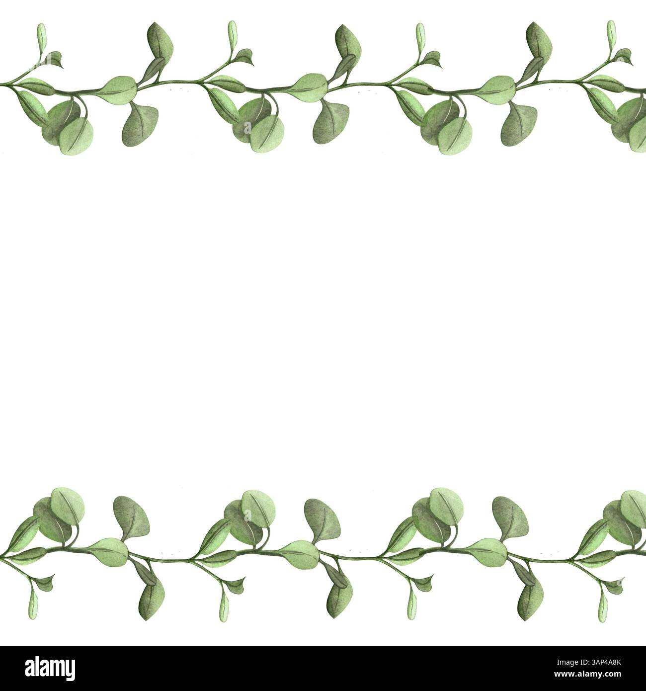 Green floral square frame with border. Botanical leafy spring ...