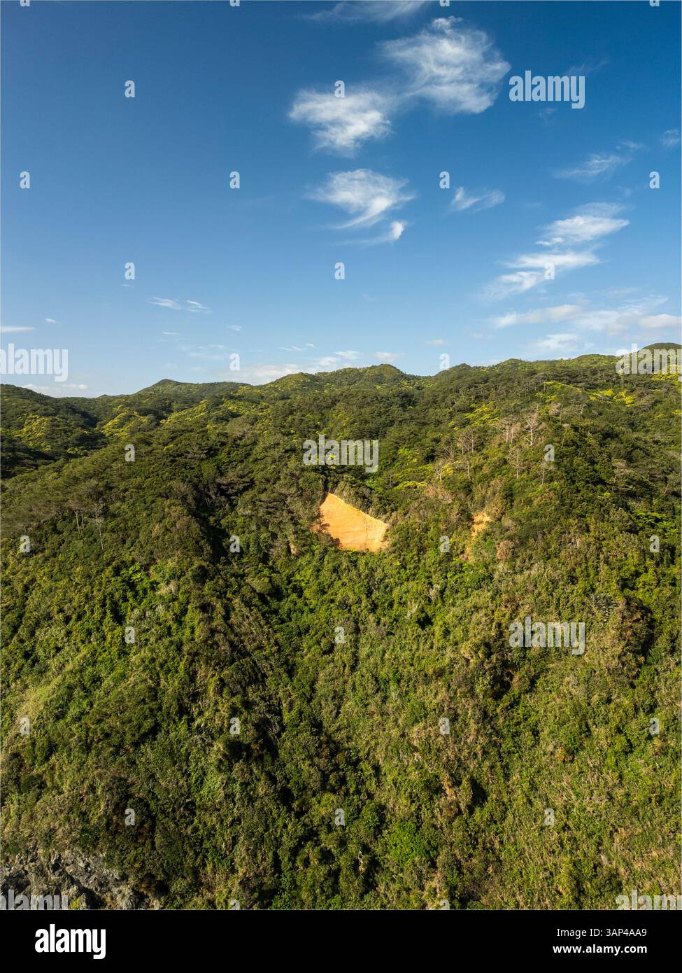 Aerial view of serene Adan Beach surrounded by lush forest and hills ...