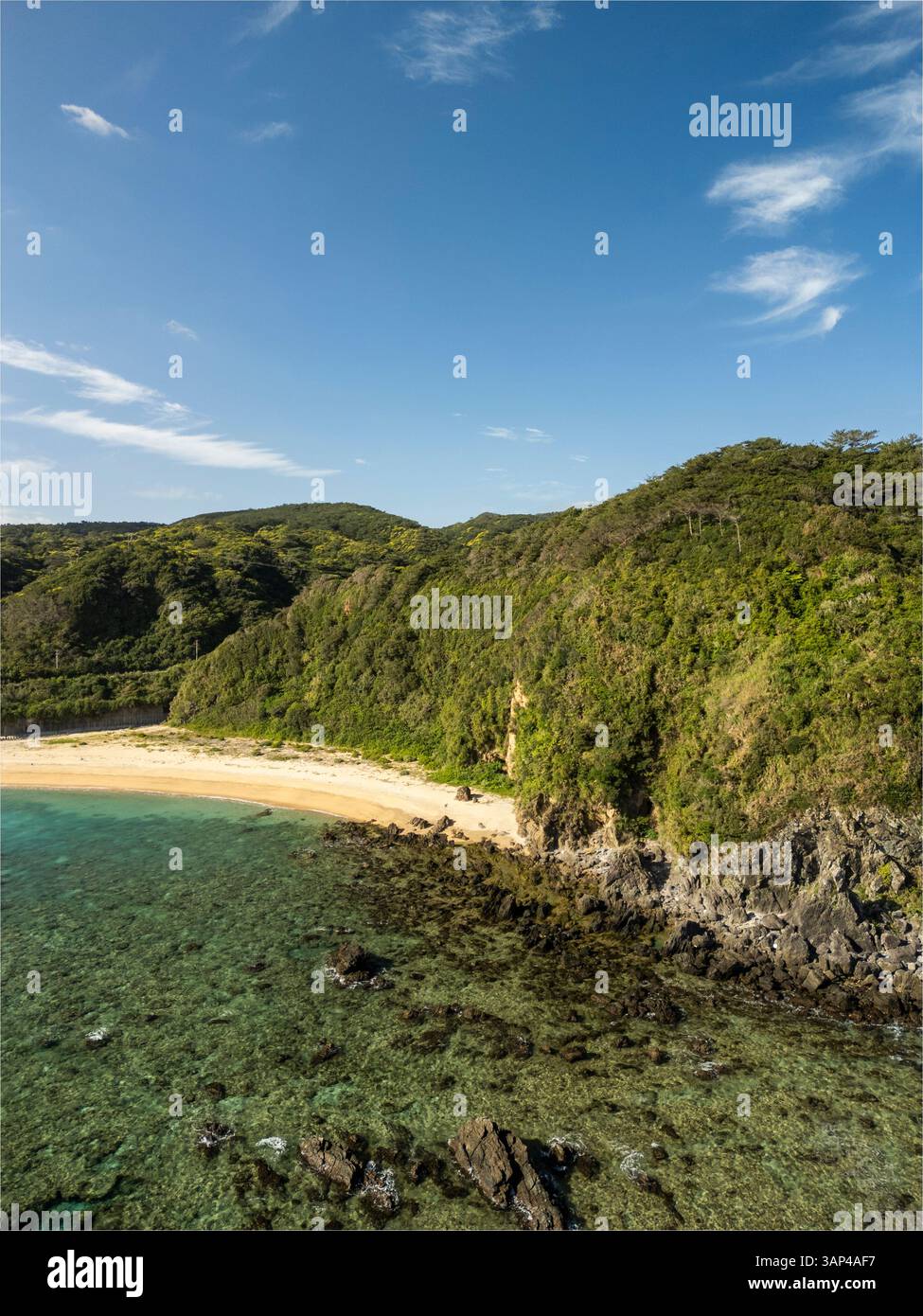 Aerial view of Adan Beach with clear water and sandy shore, Kunigami ...