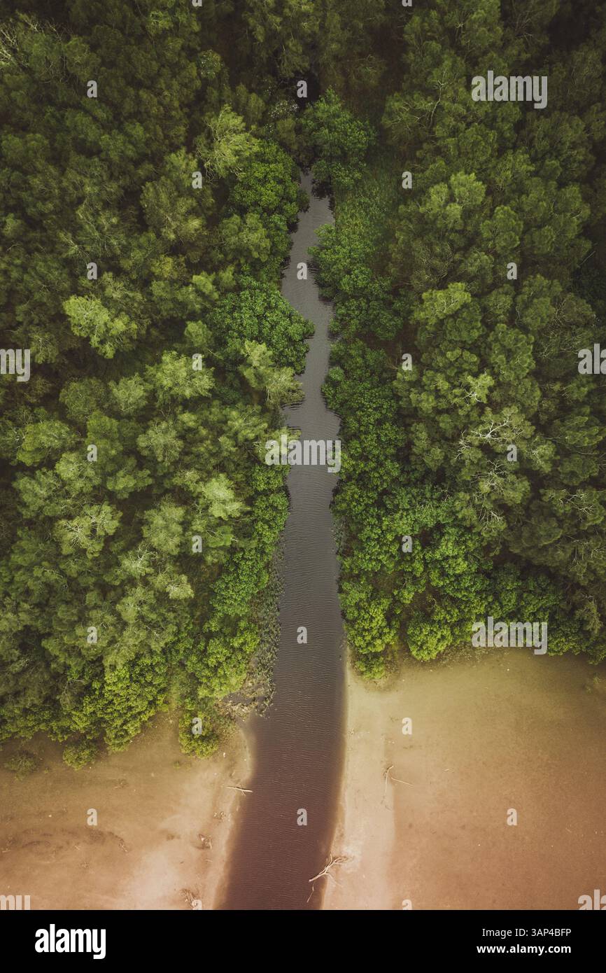 Aerial View of the Terrigal Forest and the beach, Australia Stock Photo ...