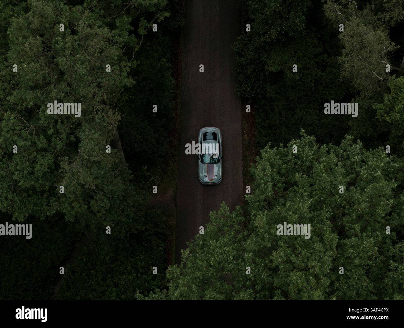 Aerial view of a Grey Ford Mustang Mach 1 In a Forest in Limburg ...