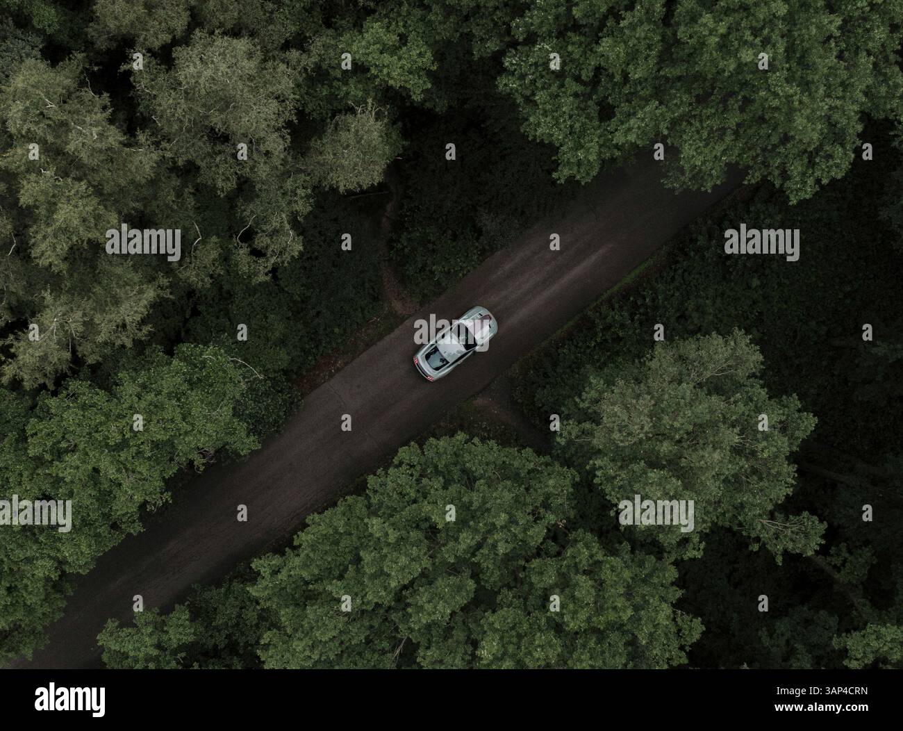 Aerial view of a Grey Ford Mustang Mach 1 In a Forest in Limburg ...