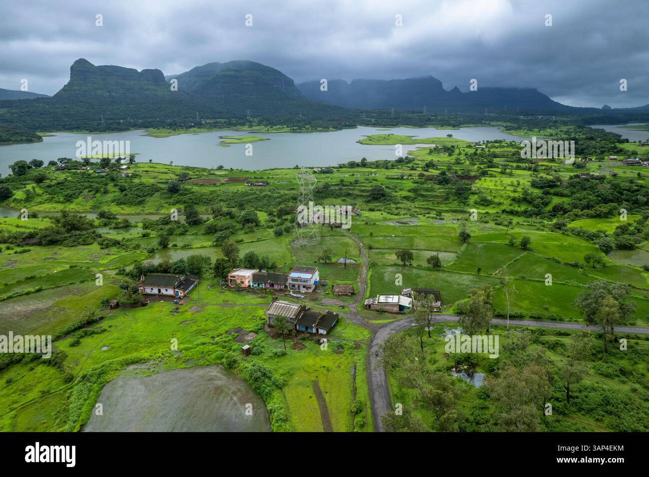Aerial view of green farmland near Manikdoh Dam, Hirdi, Junnar ...