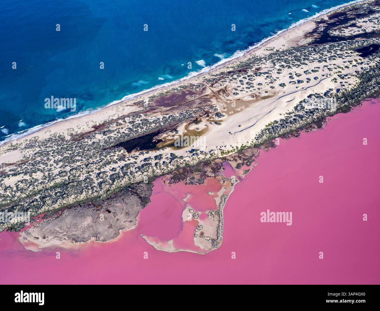 Aerial view of Pink Lake, Hutt Lagoon with vibrant pink water and ...