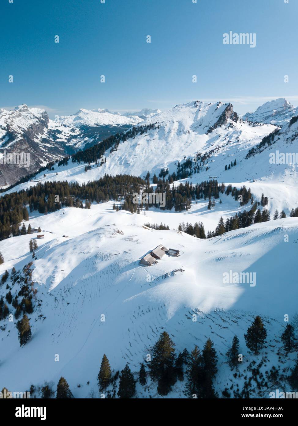 Aerial View of Trees and Mountains in Stoos, Swiss Ski Resort in Schwyz ...