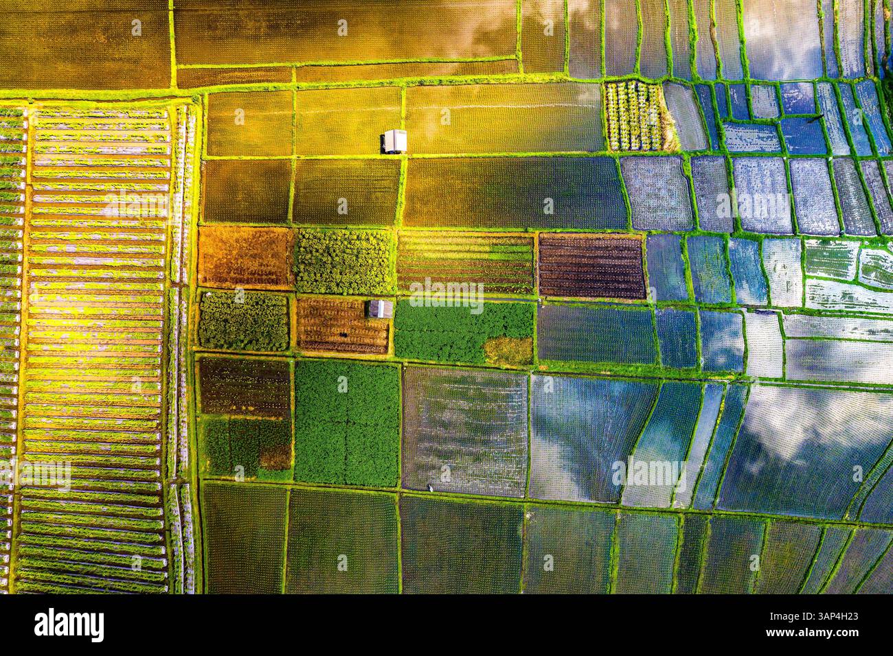 Aerial view of the traditional agriculture at Penarungan, Bali ...
