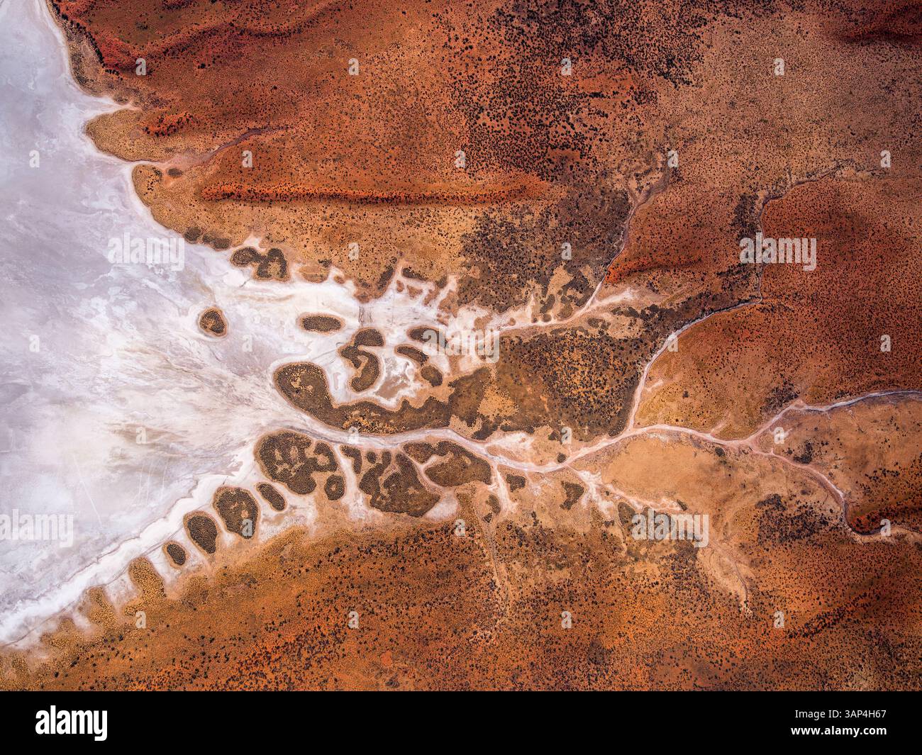 Aerial view of salt lake Mackay with desert erosion patterns, Gibson ...