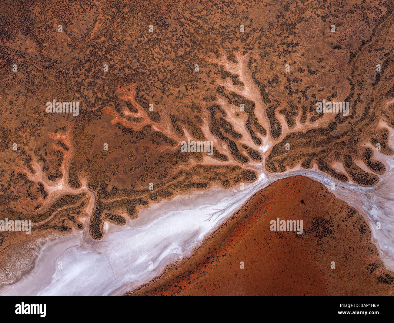 Aerial view of Lake Mackay, salt lake, erosion, Gibson Desert North ...