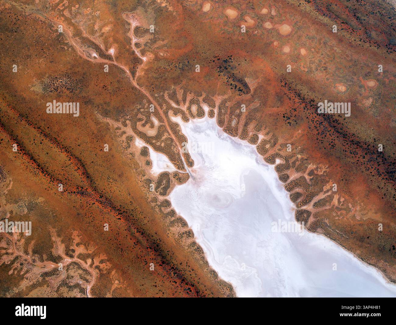 Aerial view of Lake Mackay, salt lake, desert terrain, Gibson Desert ...