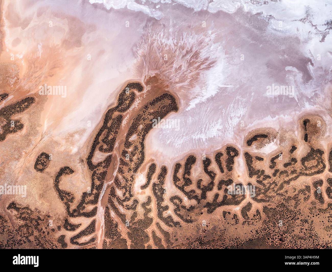 Aerial view of salt lake Mackay in arid desert terrain, Gibson Desert ...