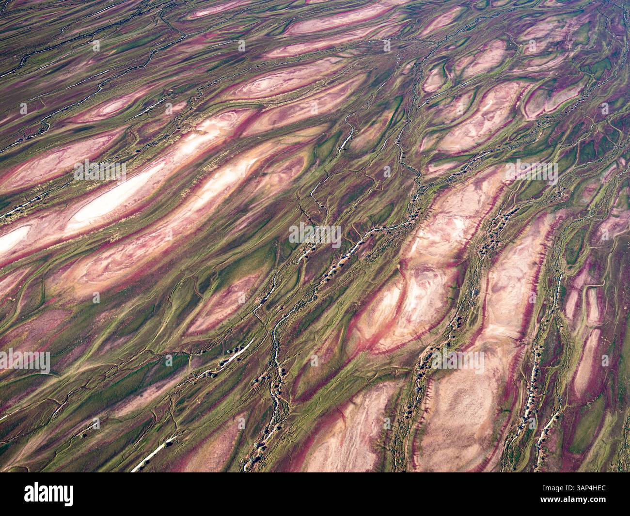 Aerial view of patterns in Diamantina River flood plain, Channel ...
