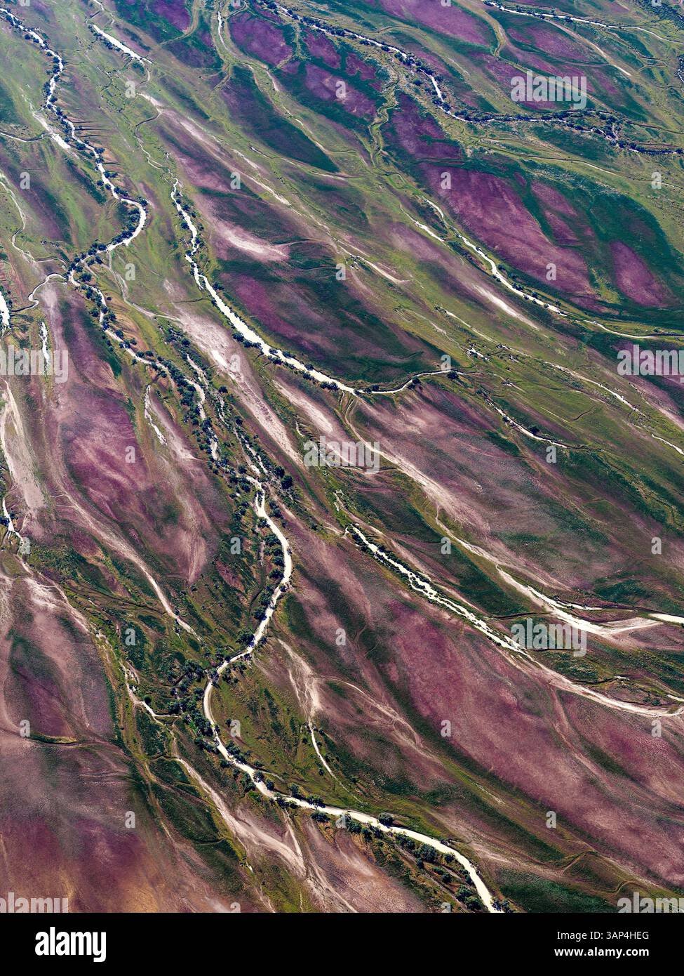 Aerial view of Diamantina River and flood plain, Channel Country ...