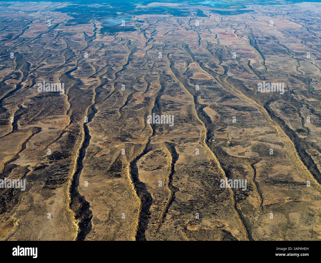 Aerial view of Simpson Desert sand dunes, Kalamurina, South Australia ...